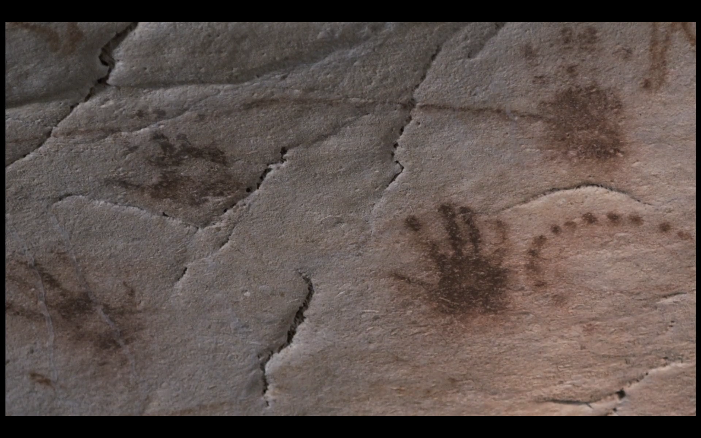 Cenas do documentário Cave Of Forgotten Dreams, de Werner Herzog ...
