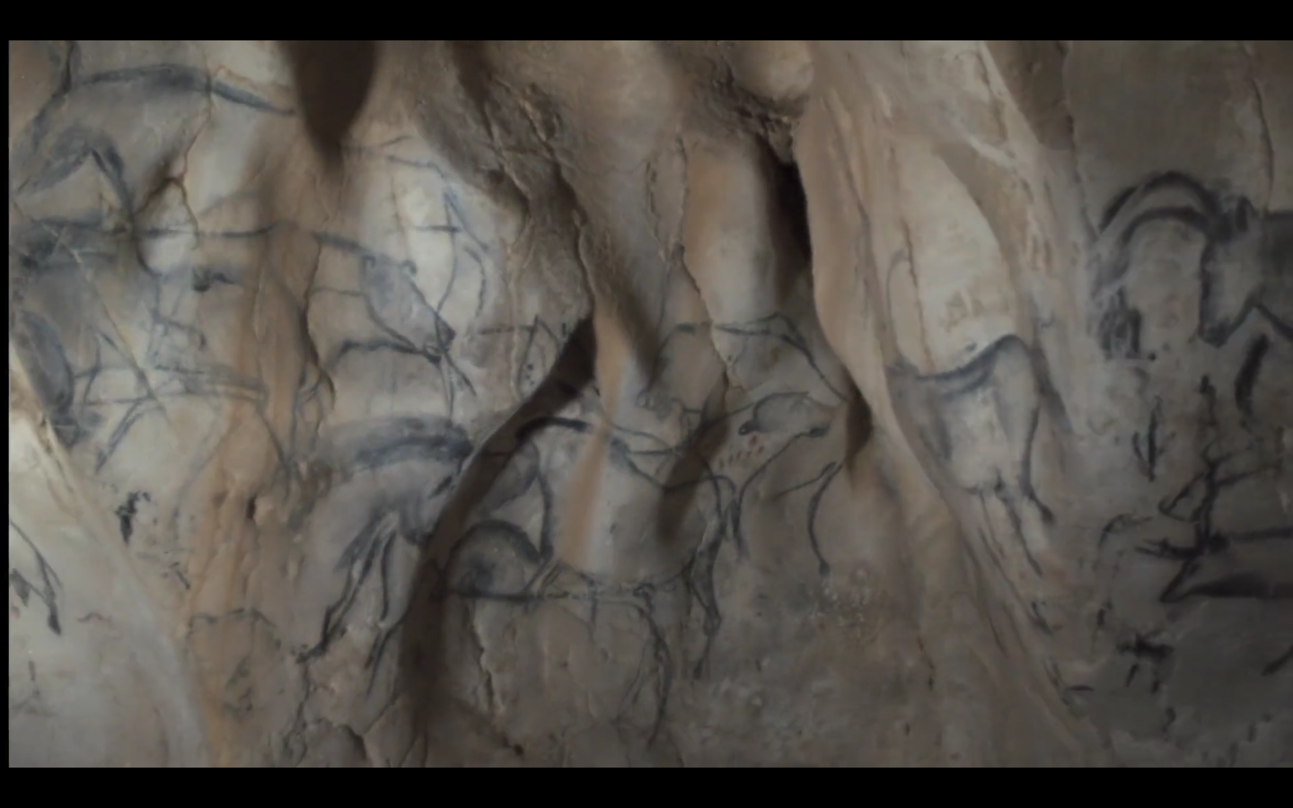 Cenas do documentário Cave Of Forgotten Dreams, de Werner Herzog ...